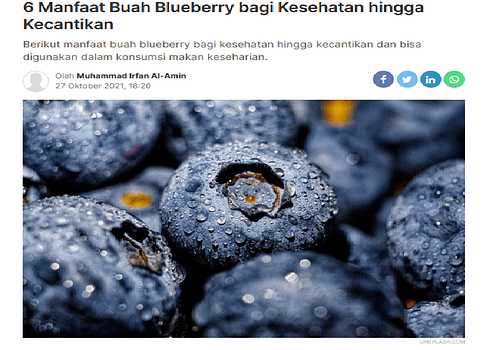 1001 Manfaat Blueberry Untuk Kesehatan – HPA Global Network – HPAGlobal ...